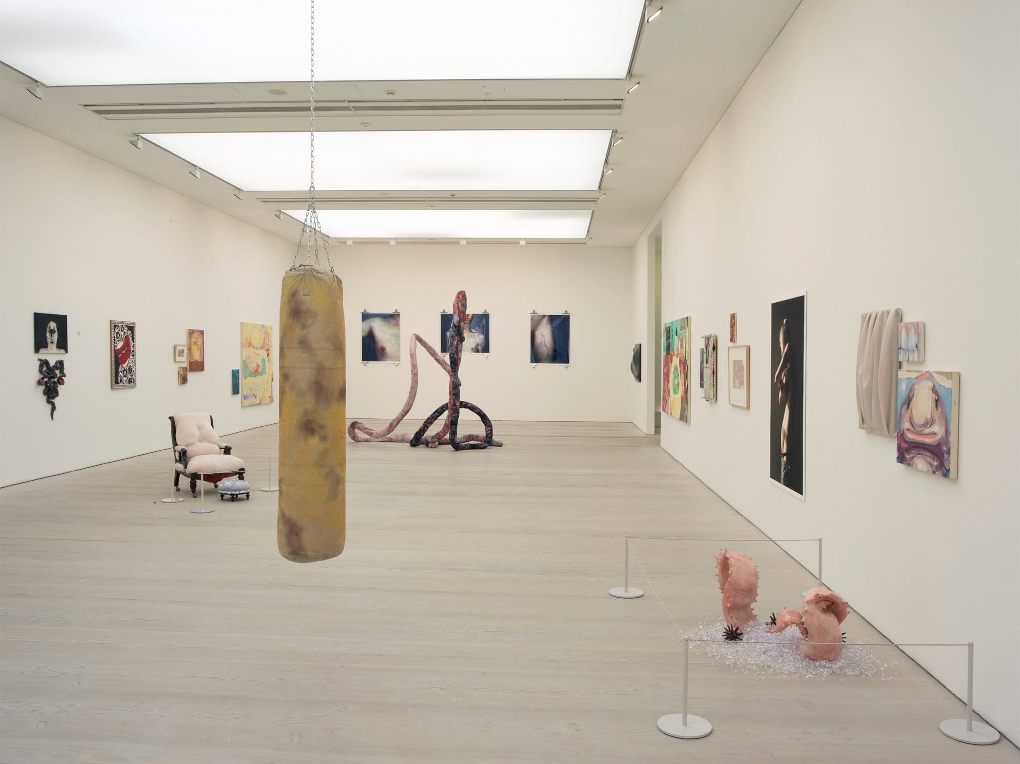 Installation Images » Saatchi Gallery