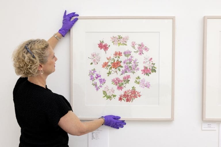 Membership FAQs » Saatchi Gallery