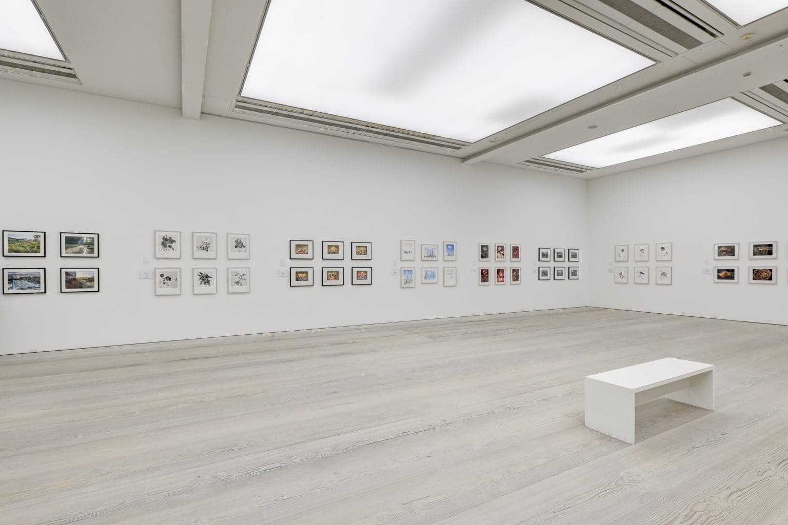 Installation Views » Saatchi Gallery